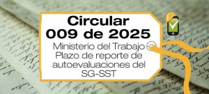 Circular 009 de 2025 - Reporte de estándares mínimos