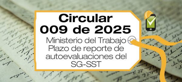 Circular 009 de 2025 - Reporte de estándares mínimos